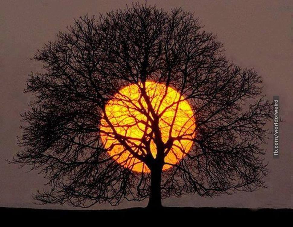 Awesome Perfectly Timed Sun Photography - Top Dreamer