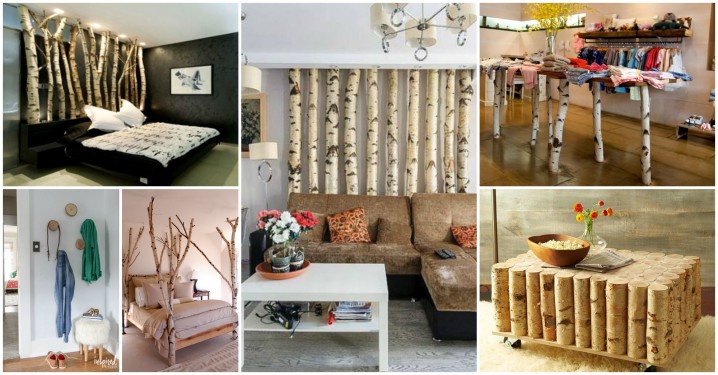 25 Awesome DIY Ideas to Incorporate Birch Tree in Your Interior - Top ...