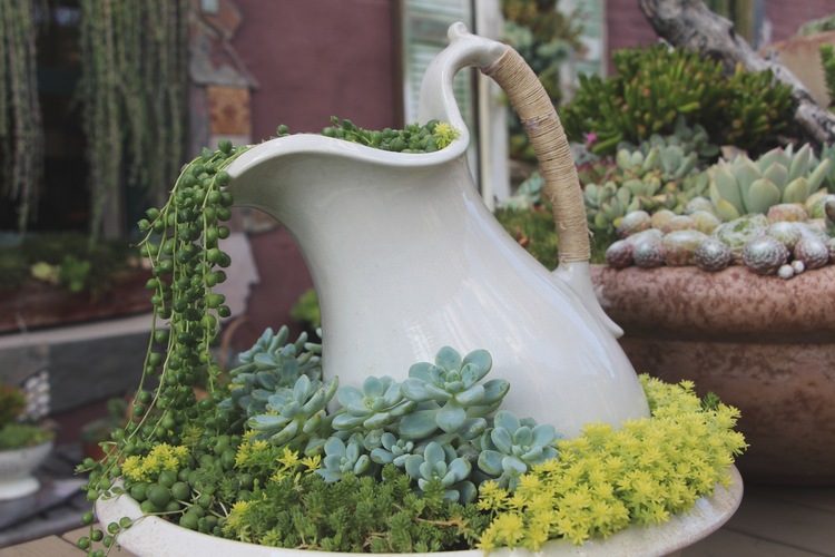 30+ Unusual Planters For Your Backyard or Home That Will Make You Say ...