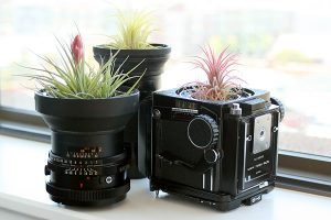 11 Fantastic Ways To Repurpose Vintage Cameras - Top Dreamer