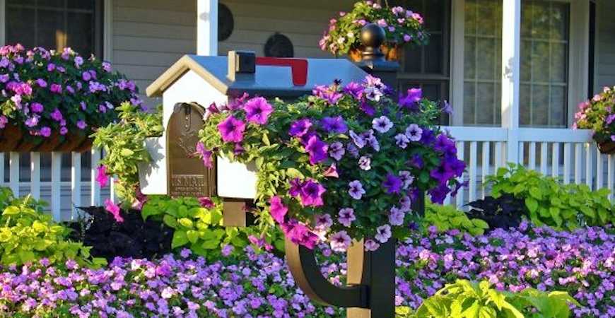 18 Beautiful Mailbox Planters That Will Make You Say WOW - Top Dreamer