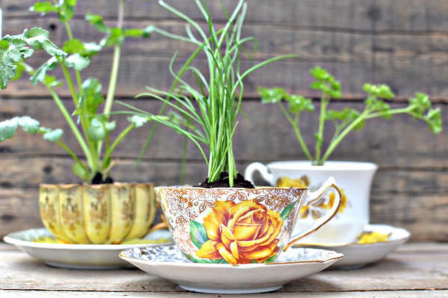 Tips On How To Make Cute Tea Cup Gardens In No Time - Top Dreamer