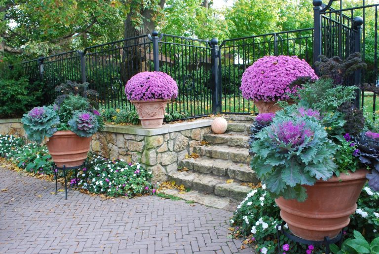 Impressive Ornamental Cabbage Decorations To Beautify Your Outdoors ...