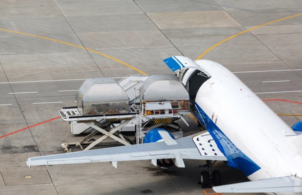 Transporting live animals by air cargo charter - Top Dreamer