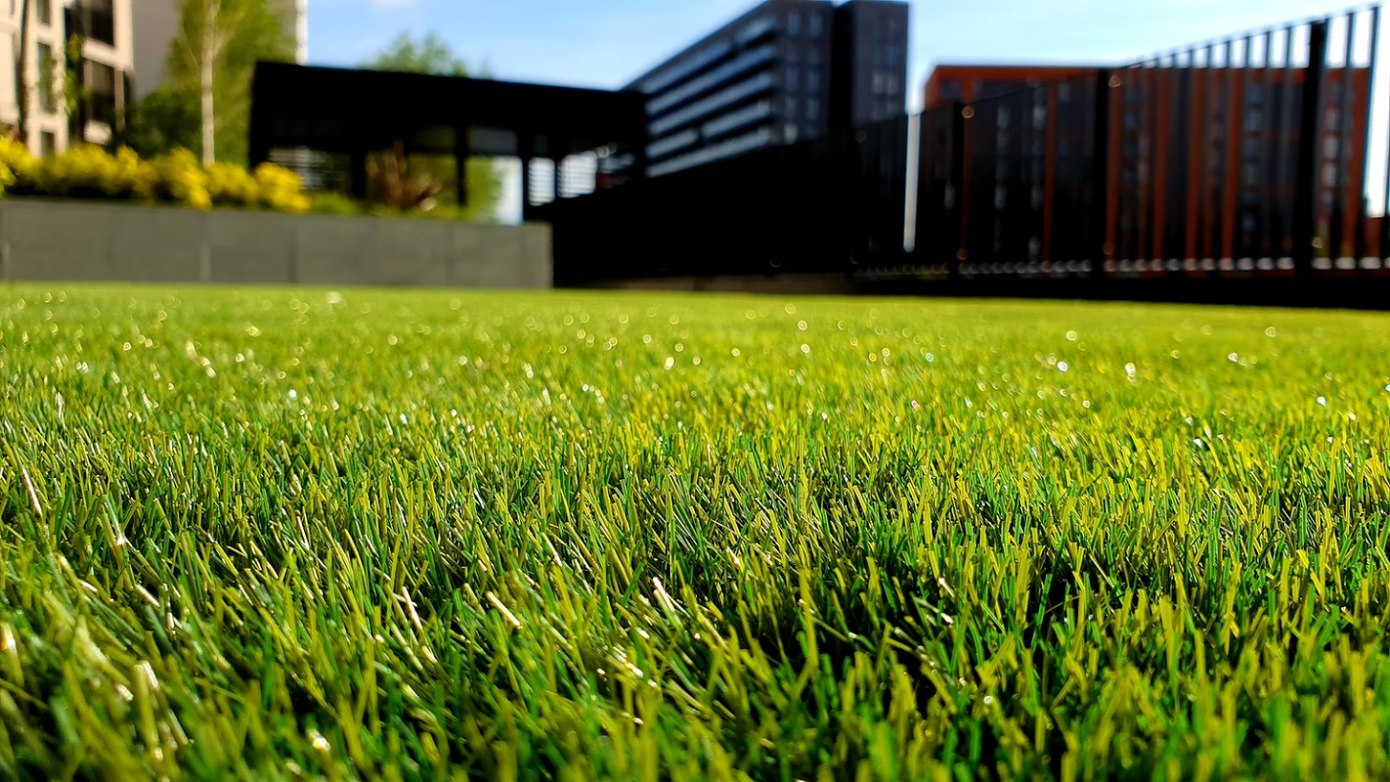 How to Choose the Top Turf for your Garden - Top Dreamer